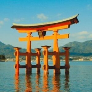 「ITSUKA JAPAN」って何者？素顔や経歴も知りたい！ | ChaosBox